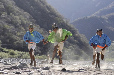 Born to run - le résumé - Trail, Expériences et Inspiration